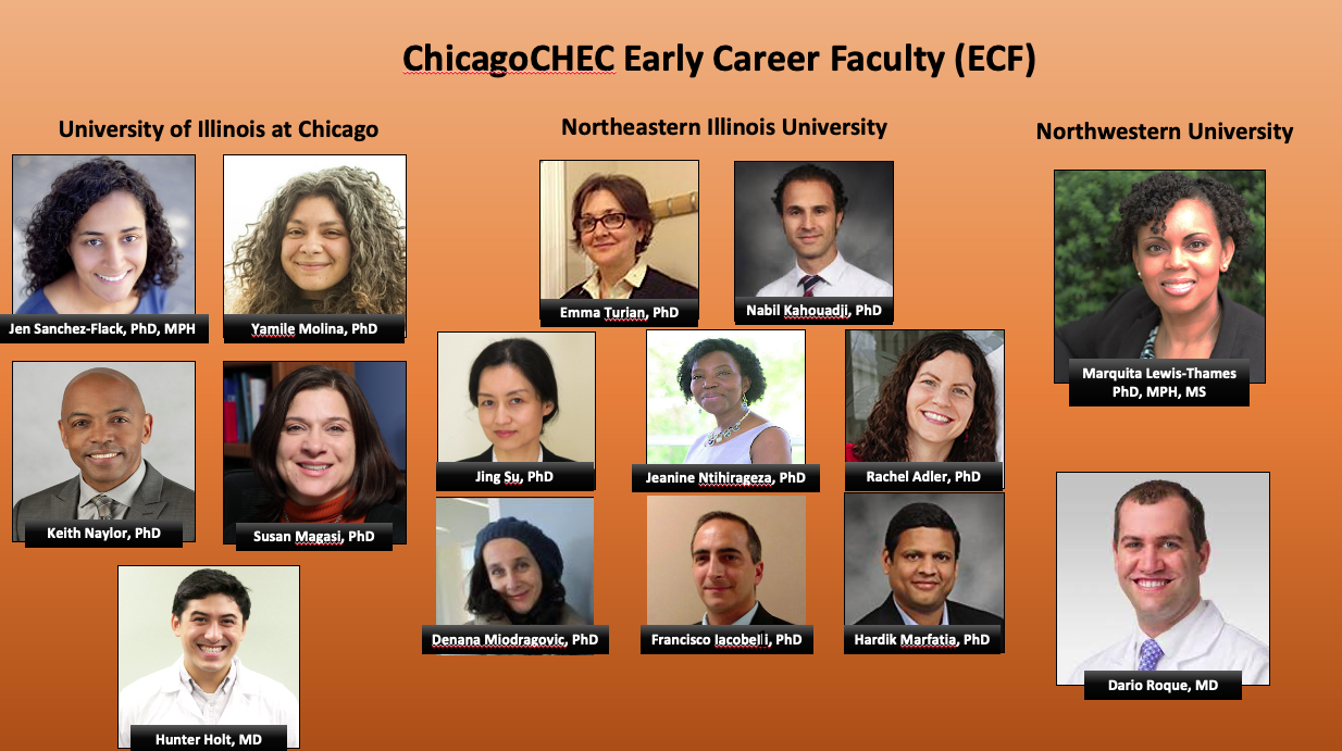 Early Career Faculty (ECF) Program - ChicagoCHEC